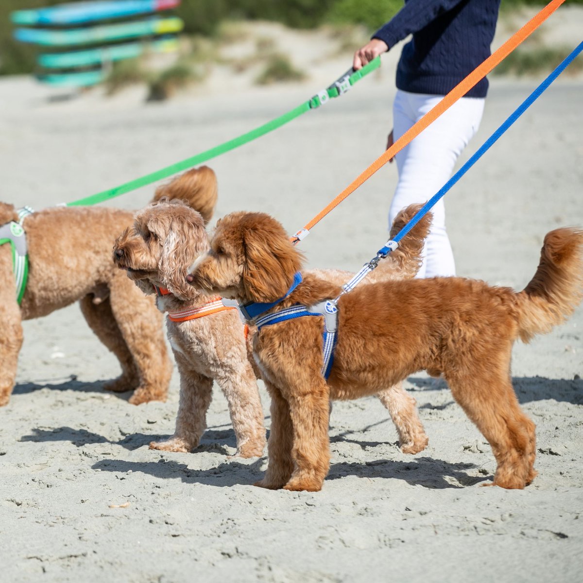 Out of Stock - HUGO & HUDSON Easy V Dog Harness, Royal Blue, Size 7 ...