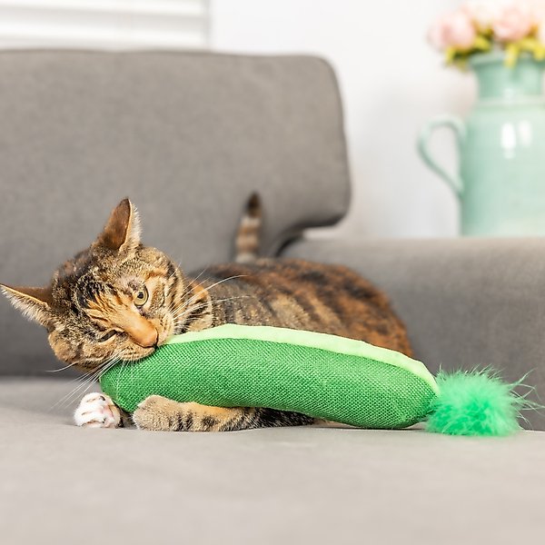 HUXLEY & KENT Cat Kicker Pickle Cat Toy, Green - Chewy.com
