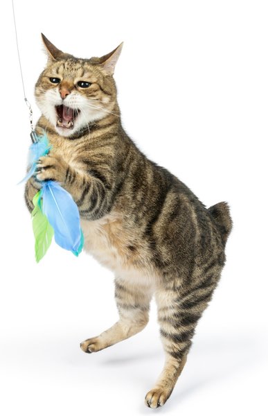 HUXLEY & KENT Cat Wand Refill 2 Pack Birdy Feather Teasers Cat Toy ...