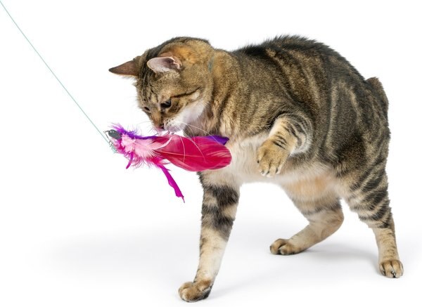 HUXLEY & KENT Cat Wand Refill 2 Pack Birdy Feather Teasers Cat Toy ...