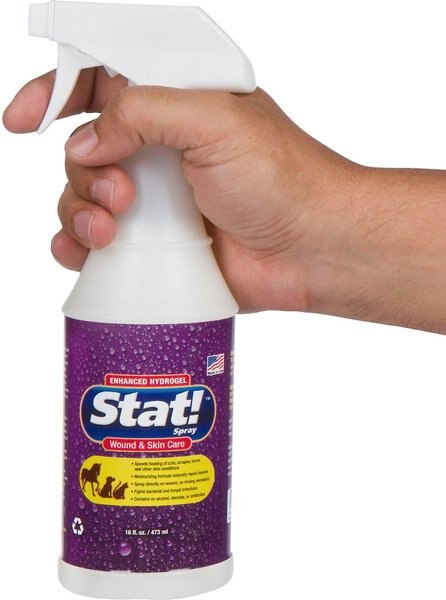 HYDRO-STAT! SPRAY Wound & Skin Care Spray for Dogs, Cats & Horses, 16 ...