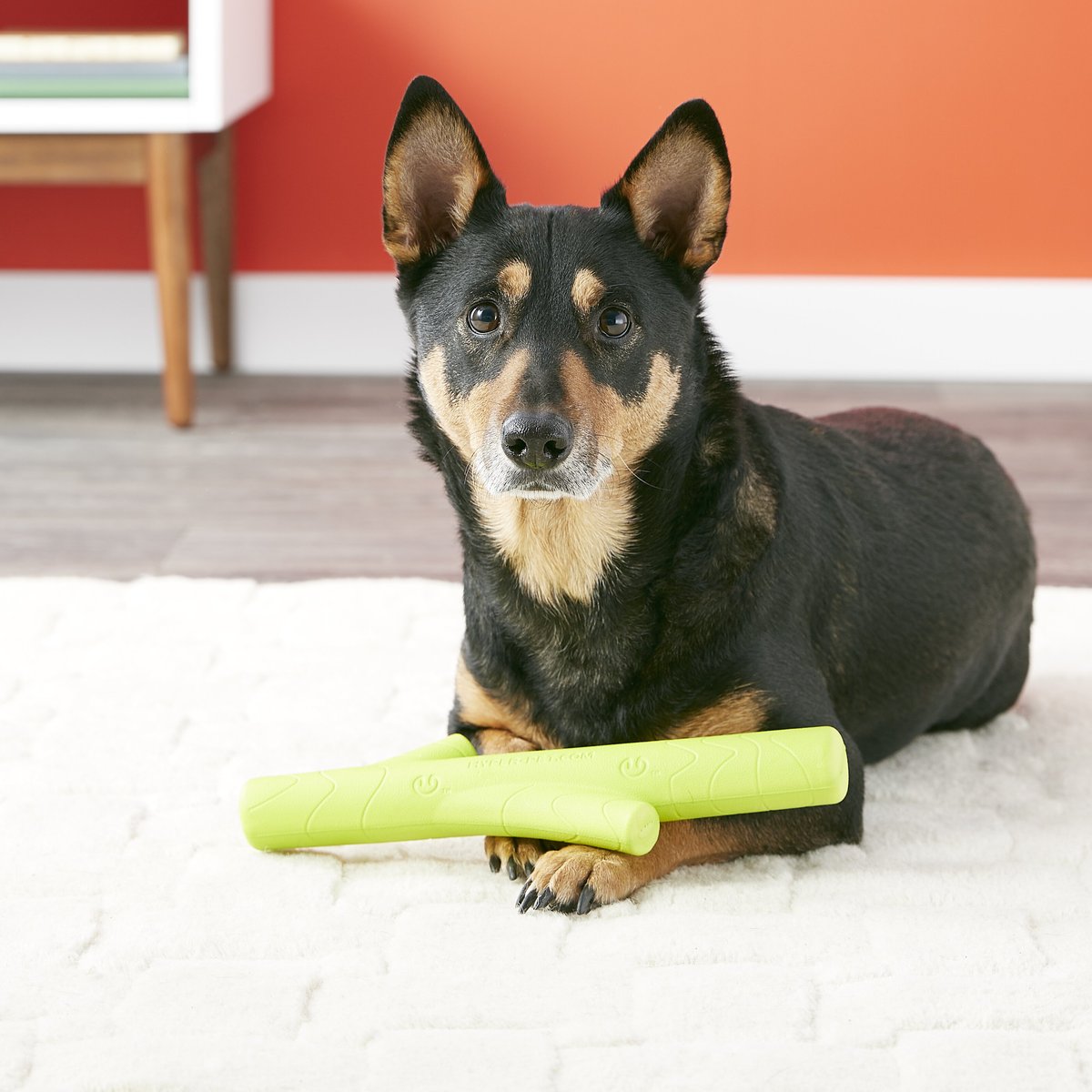 HYPER PET Hyper Chewz Dog Chew Toy, Stick - Chewy.com