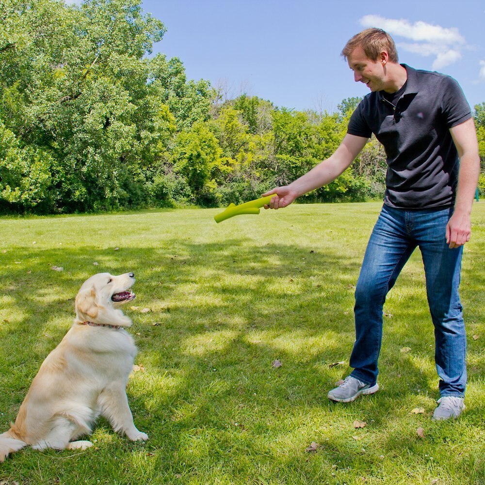 HYPER PET Hyper Chewz Dog Chew Toy, Stick - Chewy.com