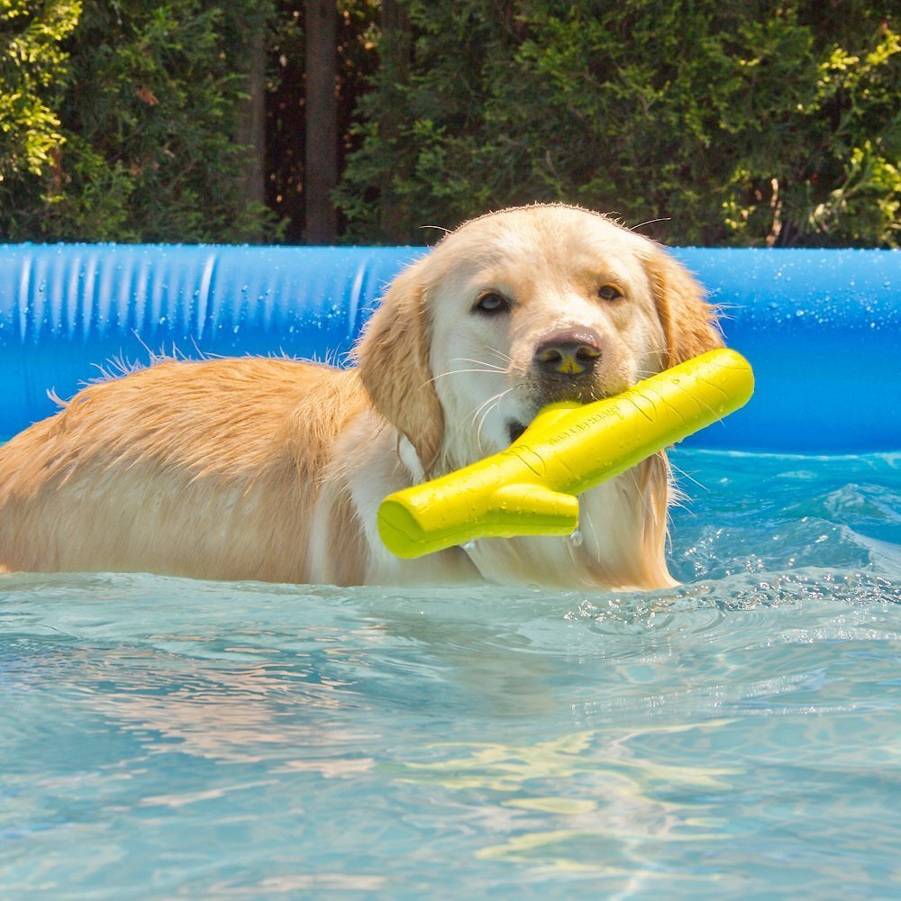 HYPER PET Hyper Chewz Dog Chew Toy, Stick - Chewy.com