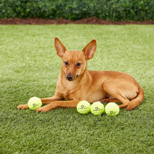 HYPER PET K9 Kannon Mini K2 Dog Toy - Chewy.com