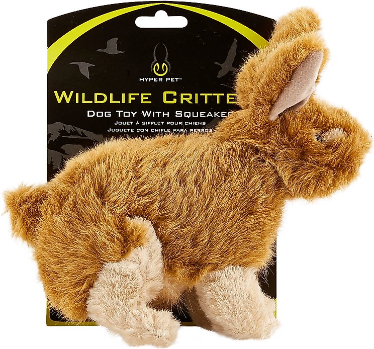 Rabbit Dog Toy (Free Shipping) | Chewy