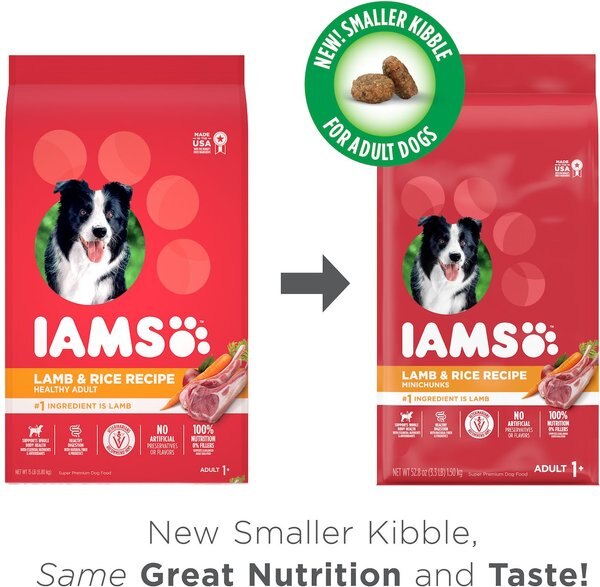 IAMS Proactive Health Minichunks Adult with Real Lamb Dry Dog Food, 3.3 ...