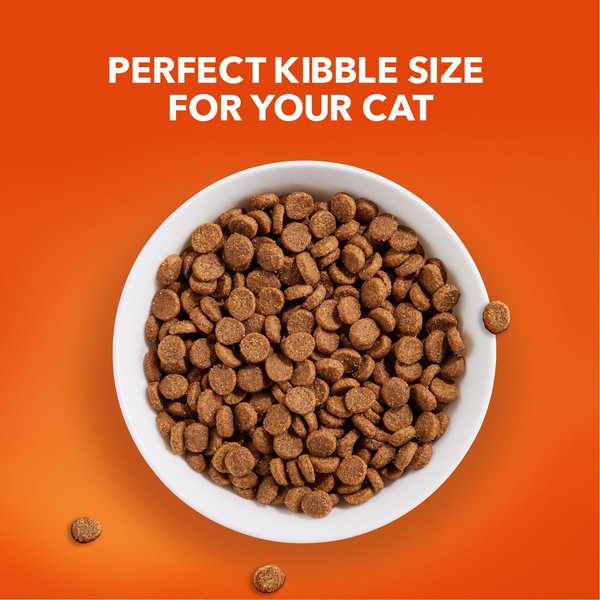IAMS Proactive Health Healthy Senior Chicken Recipe Dry Cat Food, 7-lb ...