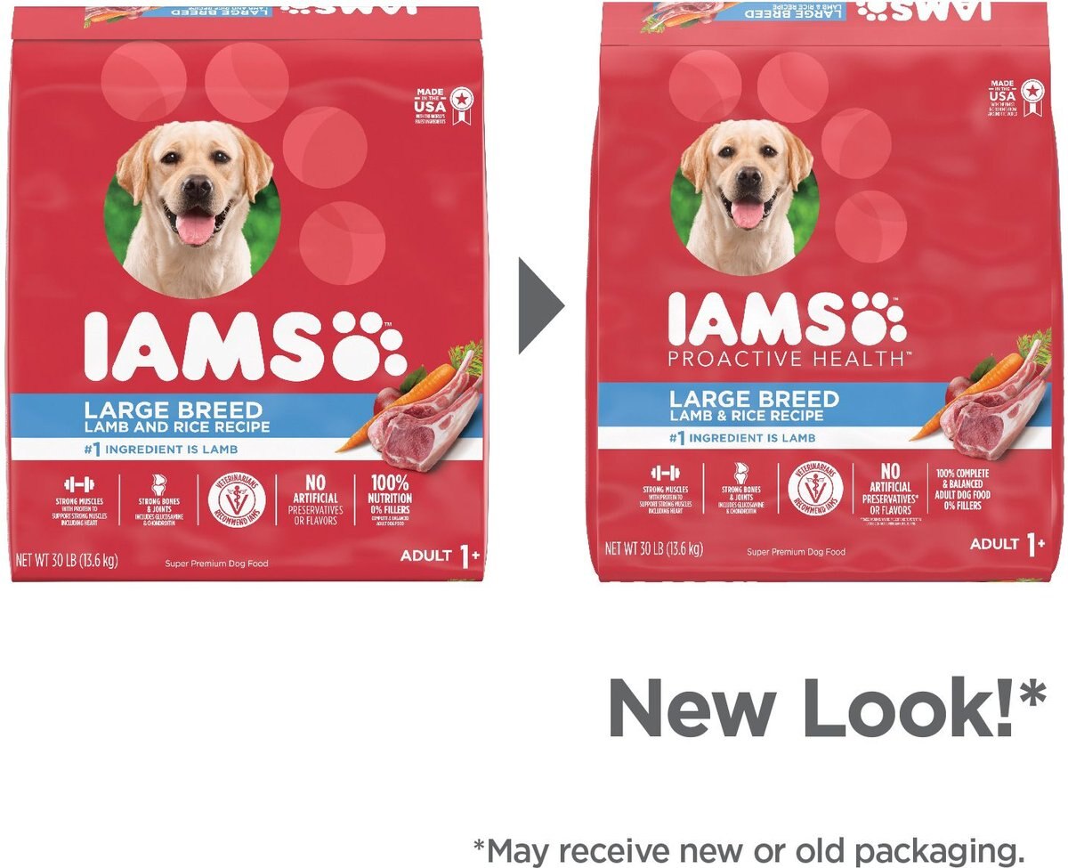 IAMS Proactive Health Large Breed Adult Lamb & Rice Recipe Dry Dog Food ...