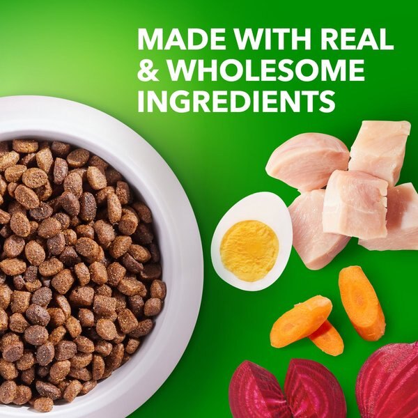 IAMS Proactive Health Smart Puppy with Real Chicken Dry Dog Food, 7-lb ...