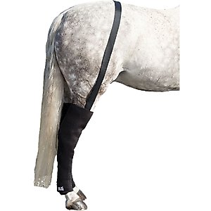 ICE HORSE Full Hind Horse Leg Wraps, 2 count - Chewy.com