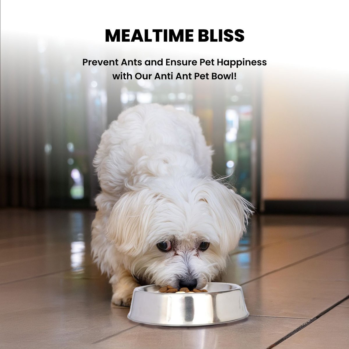 Out of Stock - ICONIC PET Anti Ant Stainless Steel Non Skid Dog & Cat ...