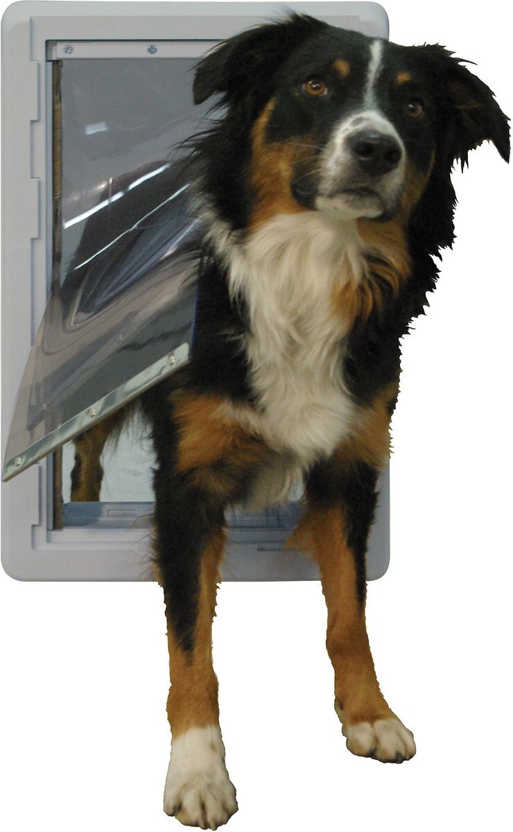 IDEAL PET PRODUCTS Designer Series Ruff-Weather Pet Door, Tinted ...