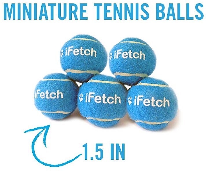 IFETCH Tennis Balls, Mini, 5 Pack - Chewy.com