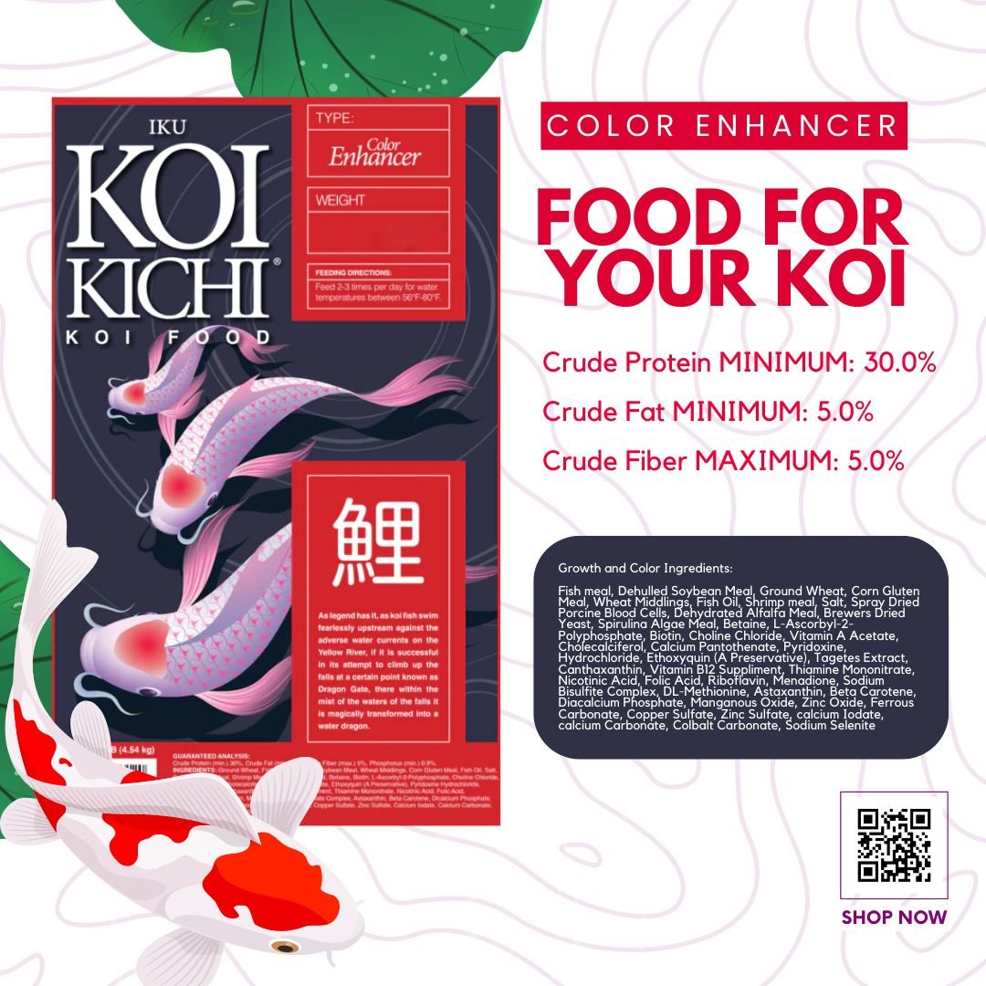 IKU KOI KICHI Color Enhancer Koi Fish Food, 40-lb bag - Chewy.com