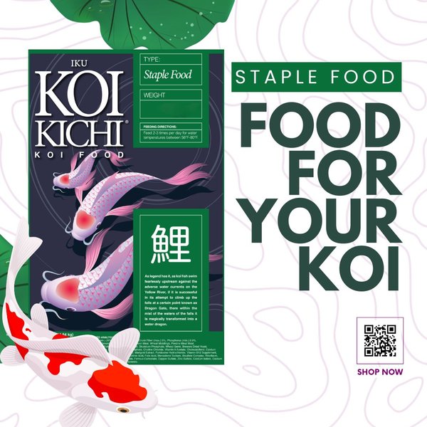 IKU KOI KICHI Staple Koi Fish Food, 2-lb bag - Chewy.com