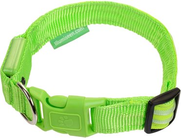 LED & LIGHT UP DOG COLLARS (Free Shipping) | Chewy