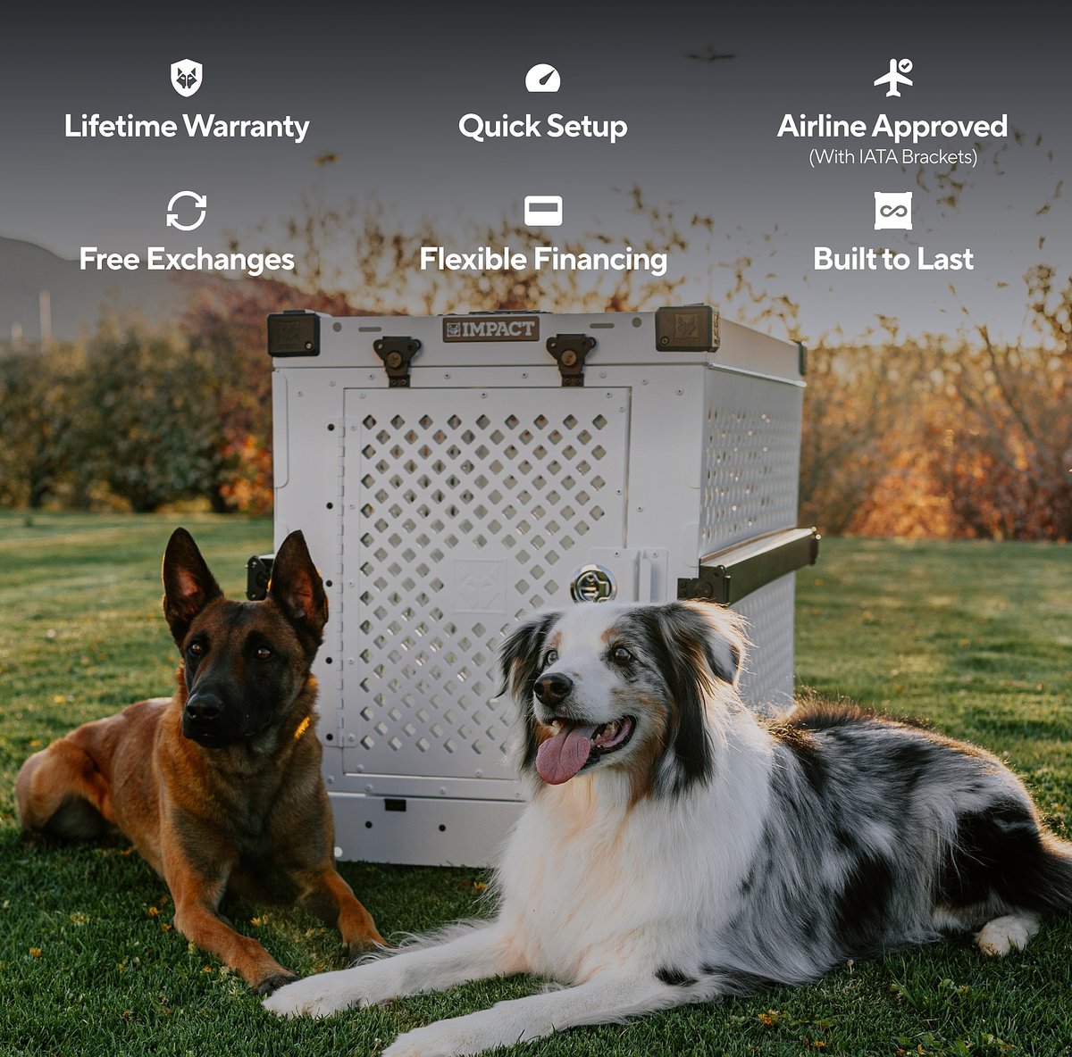 IMPACT DOG CRATES Single Door Collapsible Aluminum Dog Crate, Gray, 40 ...