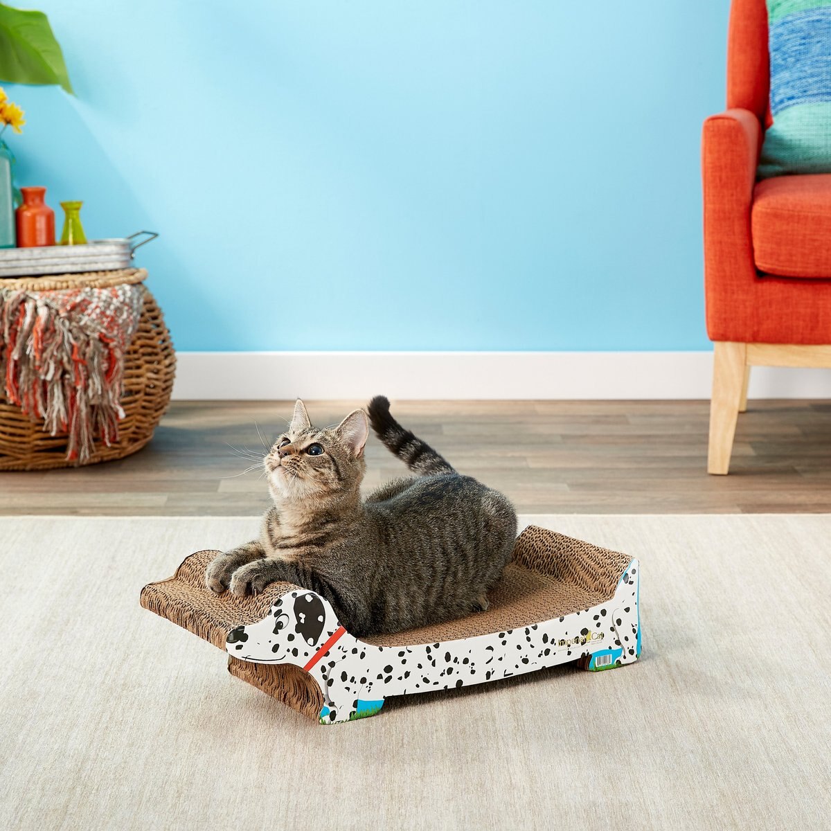 IMPERIAL CAT Dalmatian Cat Scratching Board, Large - Chewy.com