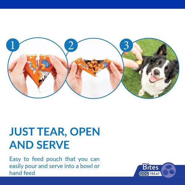 INABA Churu Fun Bites Chicken with Pumpkin Grain-Free Soft & Chewy Dog ...