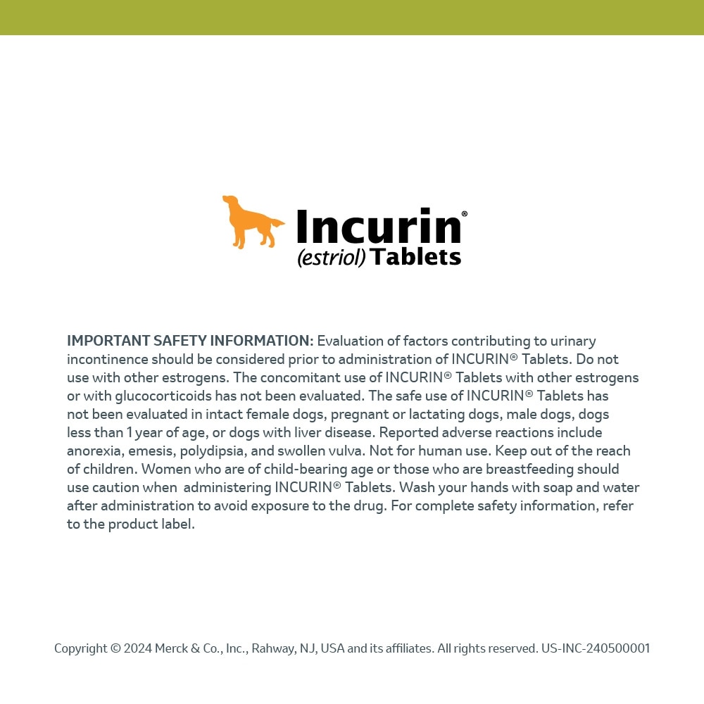 INCURIN (Estriol) Tablets for Dogs, 1-mg - Easy Refills | Chewy Rx