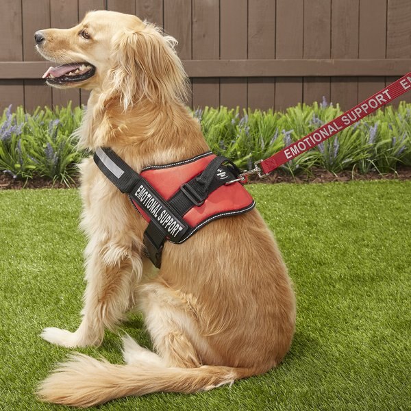 INDUSTRIAL PUPPY Emotional Support Animal ESA Reflective Dog Harness ...