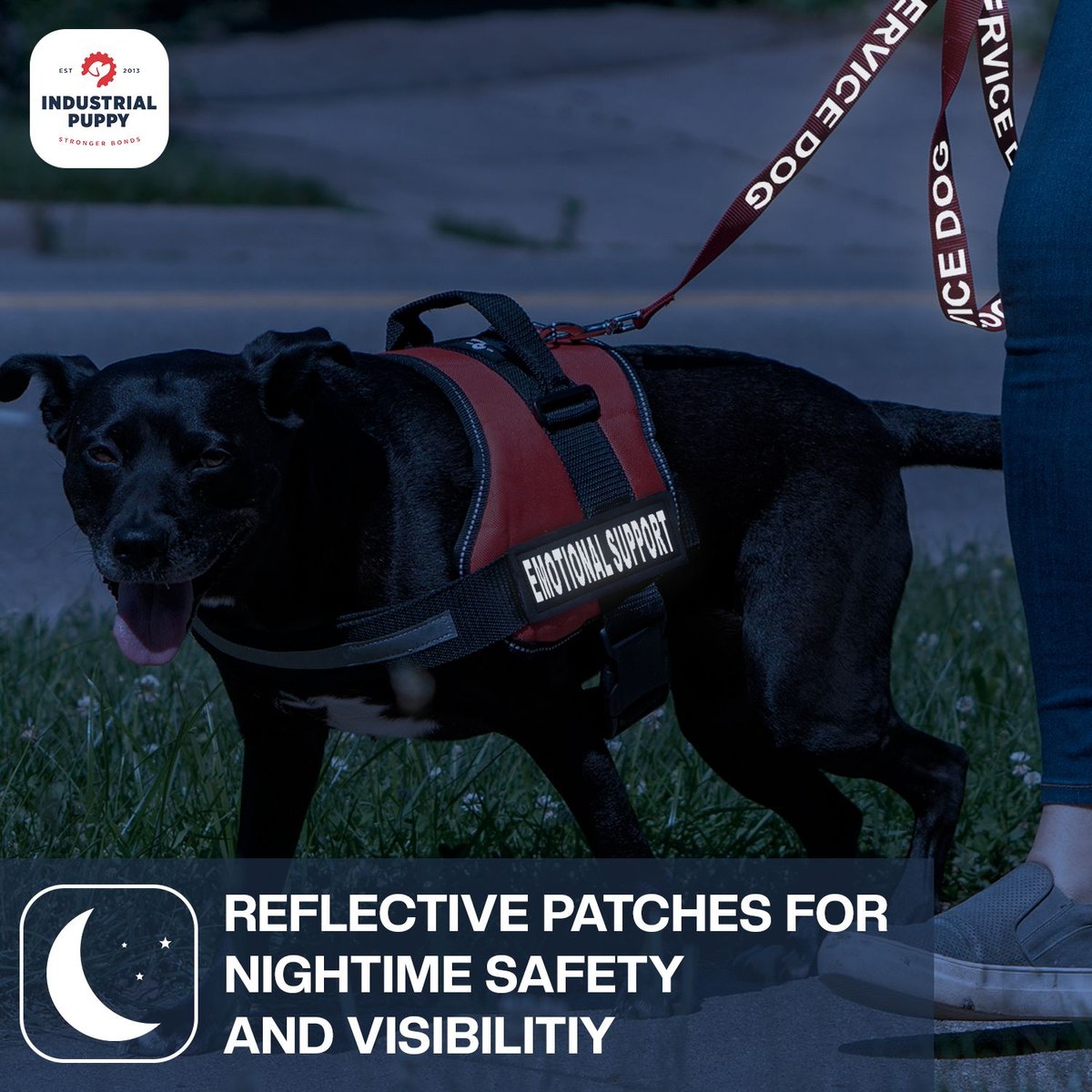 INDUSTRIAL PUPPY Emotional Support Dog Patches, Large, 2 count - Chewy.com