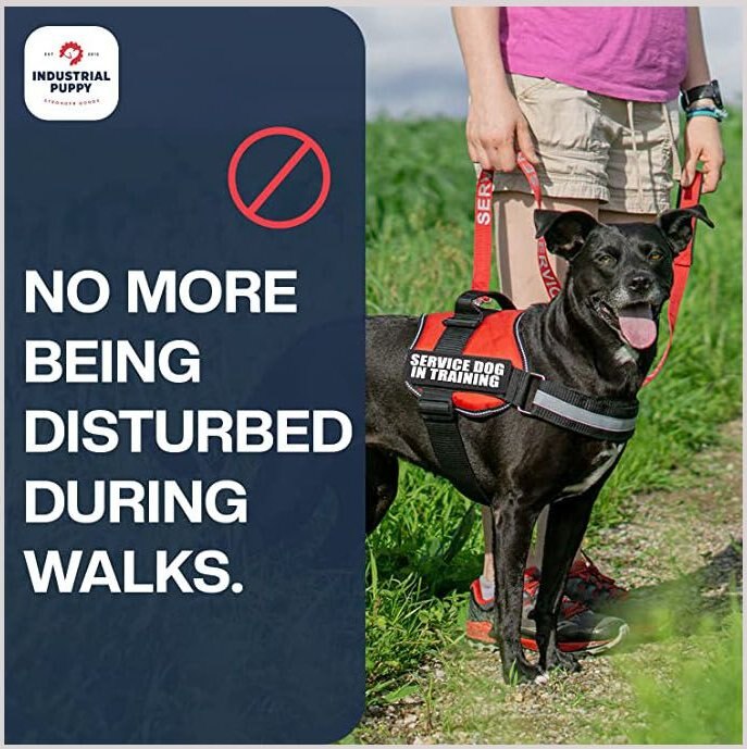 INDUSTRIAL PUPPY Emotional Support Dog Patches, Large, 2 count - Chewy.com