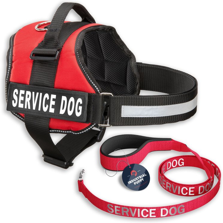 SERVICE DOG LEASHES AND COLLARS (Free Shipping) | Chewy