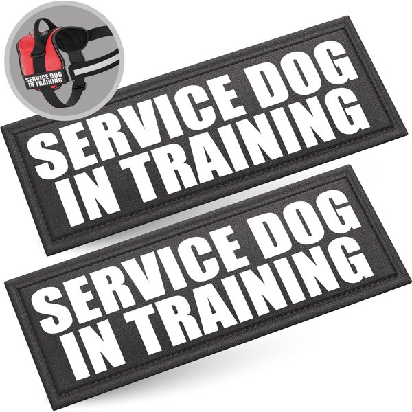 10 Best Service Dog Patches 2025: According to Reviews | Chewy