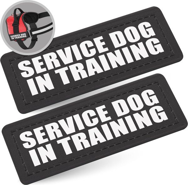 INDUSTRIAL PUPPY Service Dog In Training Patches, X-Small, 2 count ...