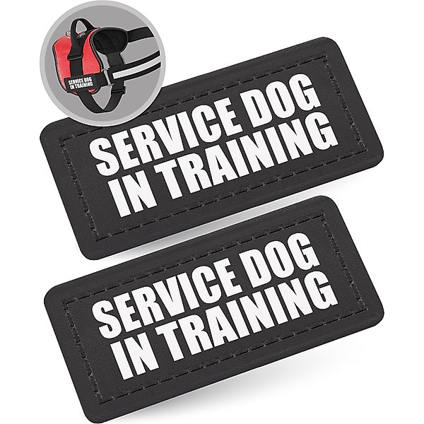 Out of Stock - INDUSTRIAL PUPPY Service Dog Tag, 2 count, Small - Chewy.com