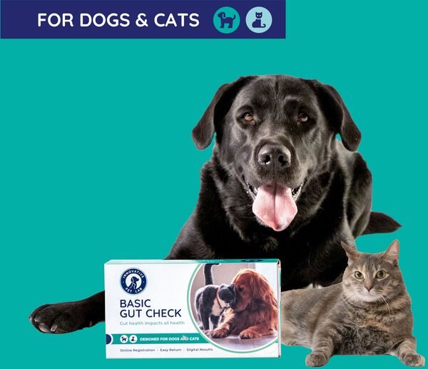 INNOVATIVE PET LAB Basic Dog & Cat Gut Check Kit - Chewy.com