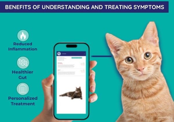 INNOVATIVE PET LAB Comprehensive Gut Check Test Kit for Cats - Chewy.com