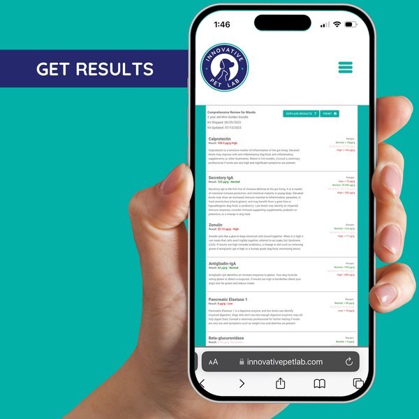 INNOVATIVE PET LAB Comprehensive Gut Check Test Kit for Cats - Chewy.com