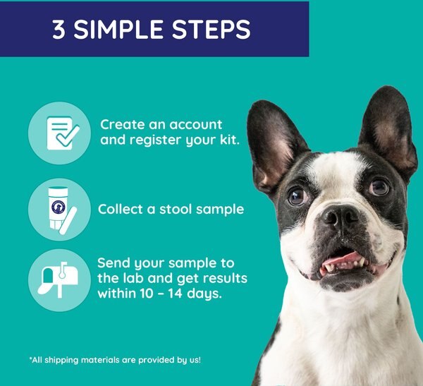 INNOVATIVE PET LAB Inflammation & Immunity Dog & Cat Gut Check Kit ...