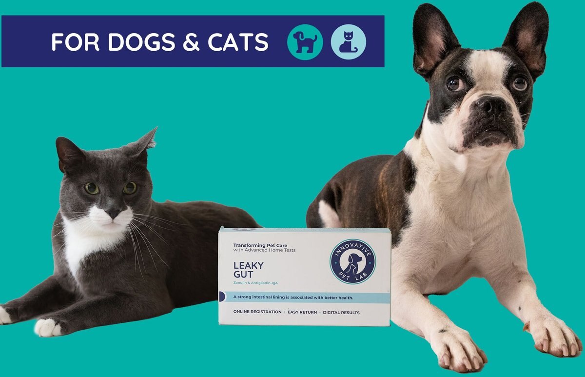 INNOVATIVE PET LAB Leaky Dog & Cat Gut Check Kit - Chewy.com