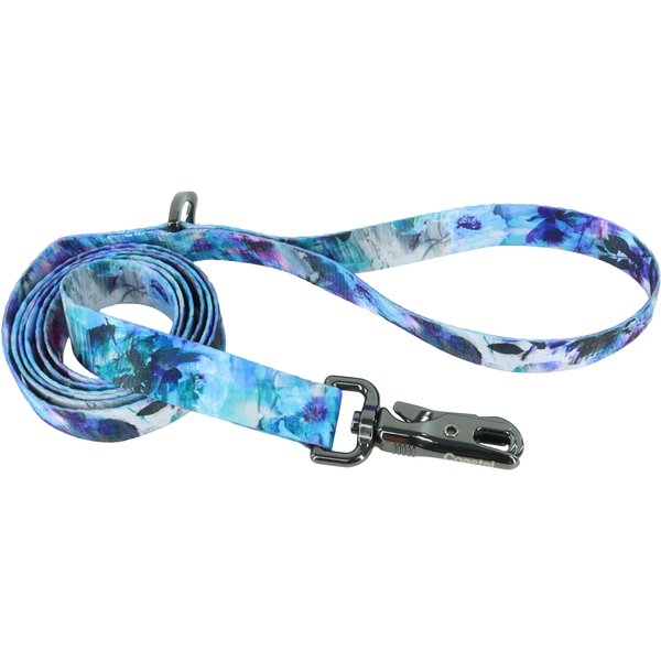 PETS FIRST Satin Nylon Dog Leash, New York Giants, Large: 72-in long, 1 ...