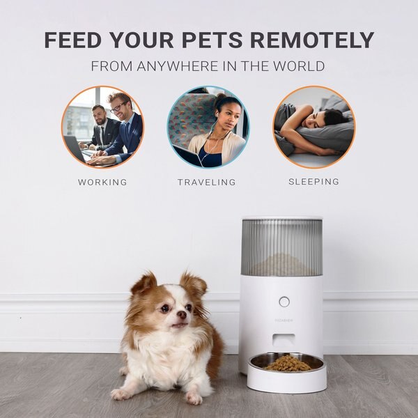 INSTACHEW Purechew Mini Automatic Stainless Steel Smart Pet Feeder ...