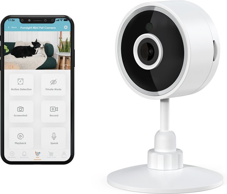 Dog Cameras & Monitors: Wi-Fi, Video & More (Free Shipping) | Chewy