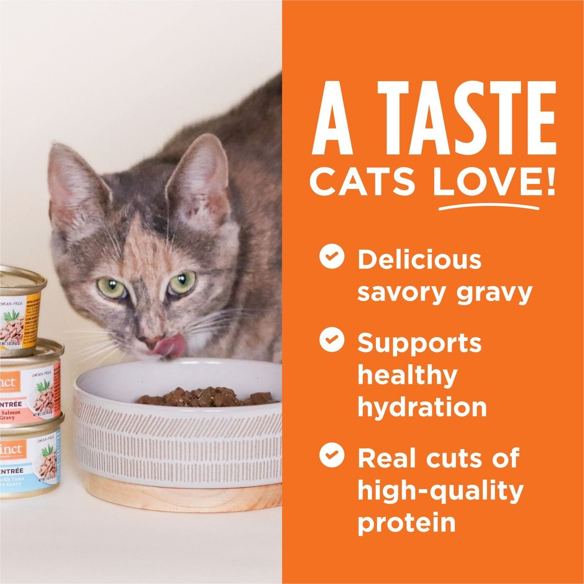 INSTINCT Lamb Entree Grain-Free Flaked Wet Cat Food, 3-oz can, case of ...