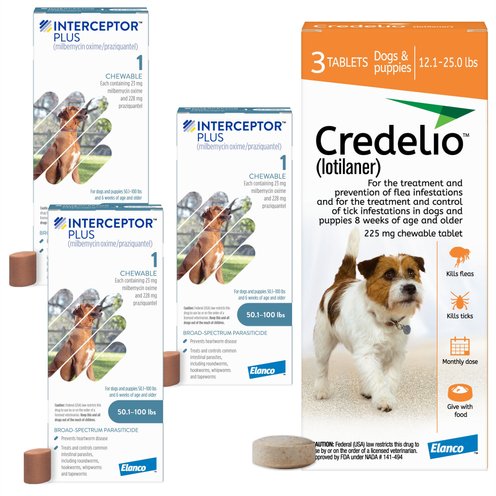 Interceptor Plus - Free shipping | Chewy