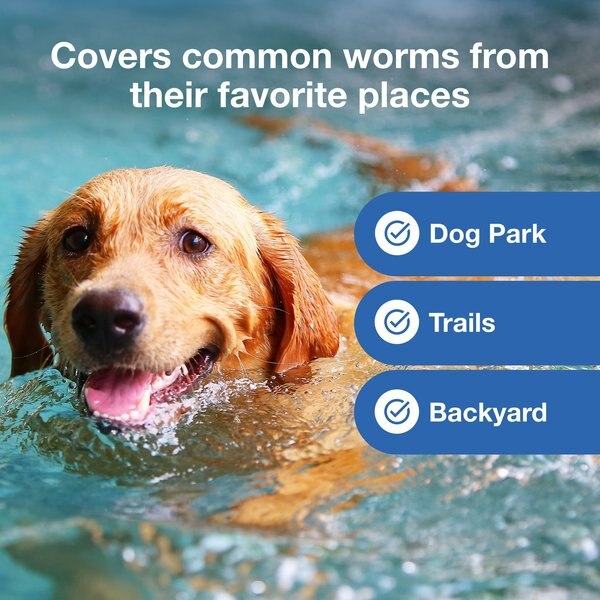 INTERCEPTOR PLUS Chew for Dogs, 25.1-50 lbs, (Yellow Box) - Easy ...