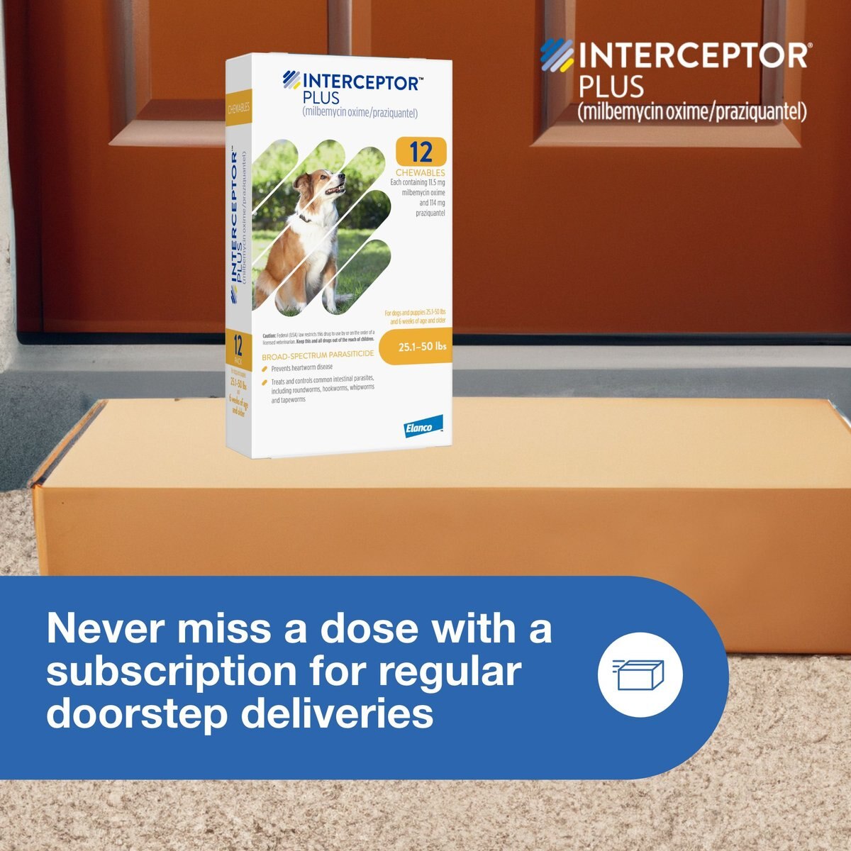 INTERCEPTOR PLUS Chew for Dogs, 25.1-50 lbs, (Yellow Box) - Easy ...