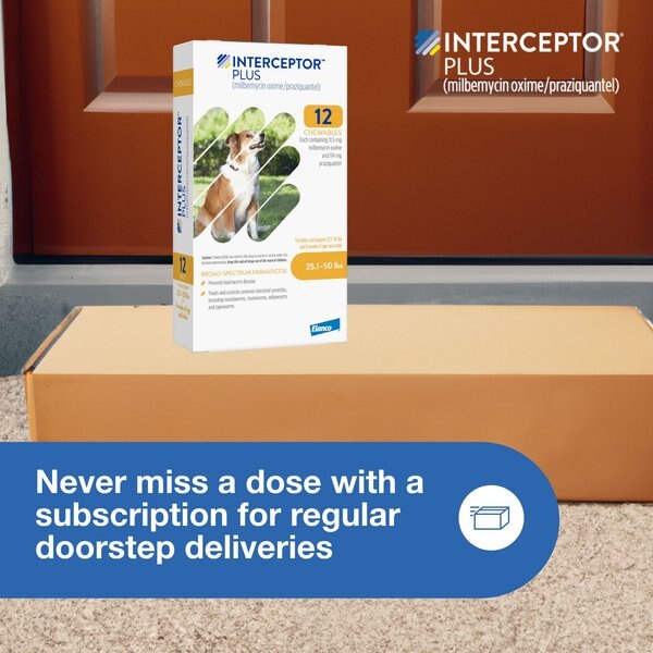 INTERCEPTOR PLUS Chew for Dogs, 25.1-50 lbs, (Yellow Box) - Easy ...