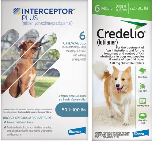 Interceptor Plus - Free shipping | Chewy