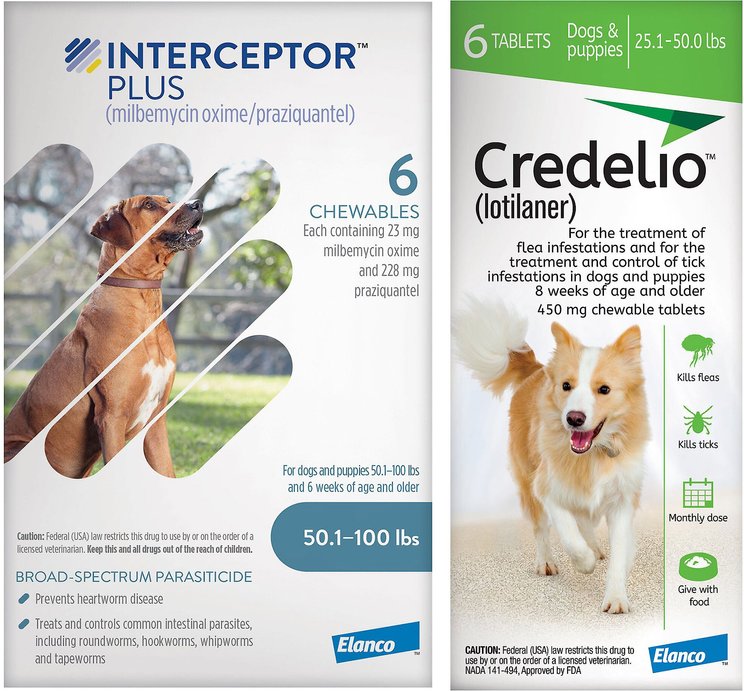 Interceptor Plus - Free shipping | Chewy
