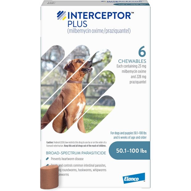 Interceptor Plus - Free shipping | Chewy