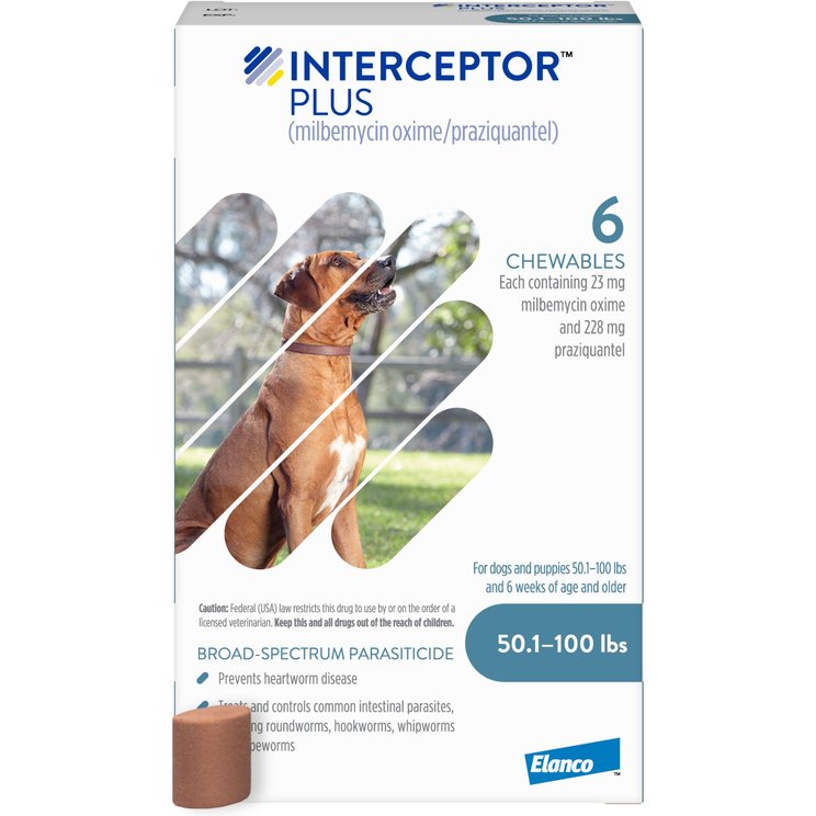 Interceptor Plus - Free shipping | Chewy