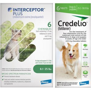 INTERCEPTOR PLUS Chew for Dogs, 8.1-25 lbs, (Green Box) - Easy Refills ...